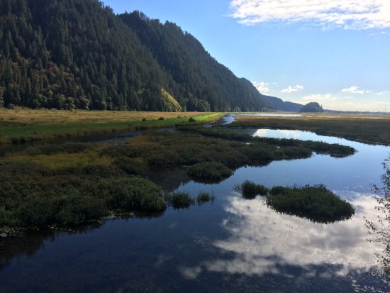 Katzie First Nation | Land of the Moss